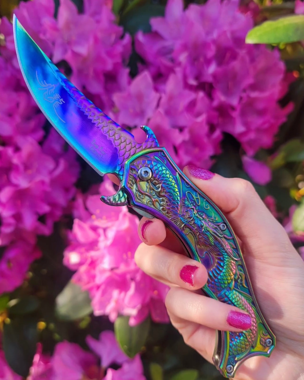 Spring-Assisted Blades – Tagged "spring assisted" – Blades For Babes